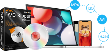 DVD Movie Collection Center - Must-watch Films & Tips to Store, Play DVD