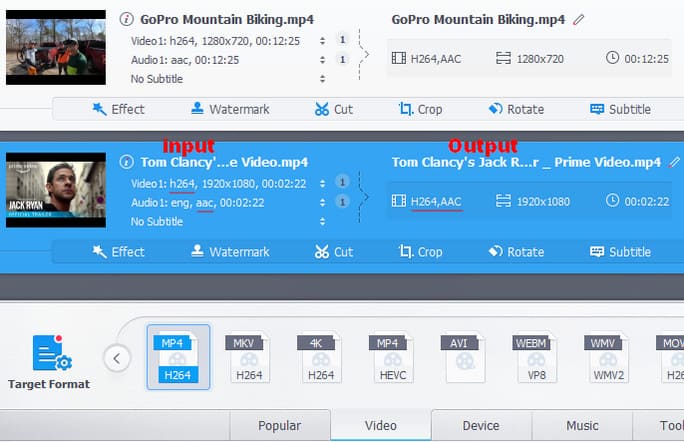 HandBrake Cannot Passthrough Video and DVD [Fixed]